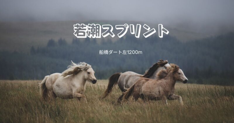 若潮スプリント予想2026｜過去データ×血統×傾向で本命・穴馬を絞る | kininaru-keiba